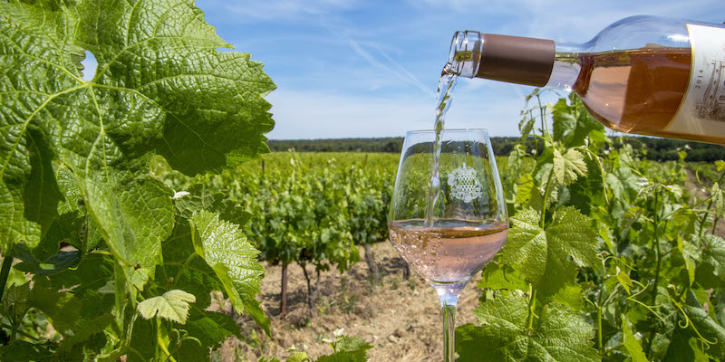 Événements autour du vin • Aix en Provence - Office de Tourisme