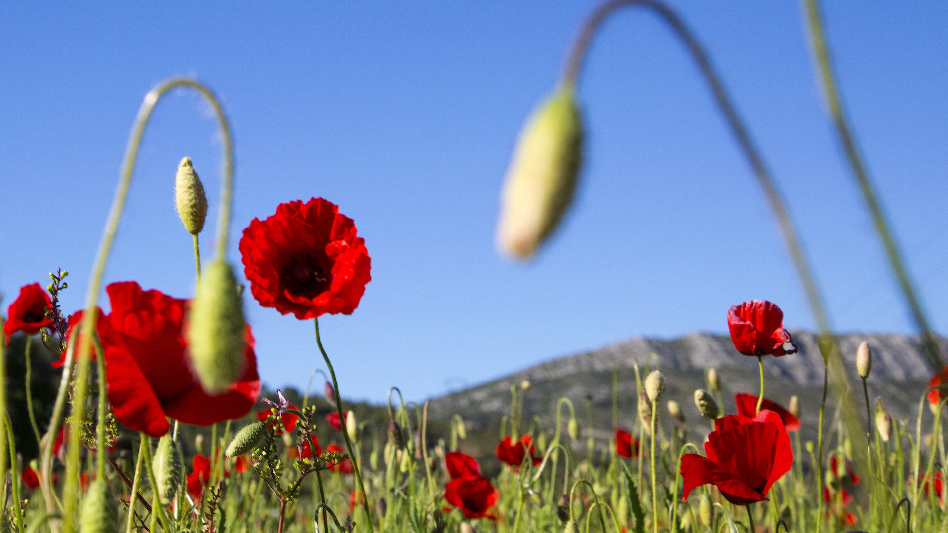 Nature • Aix en Provence - Office de Tourisme