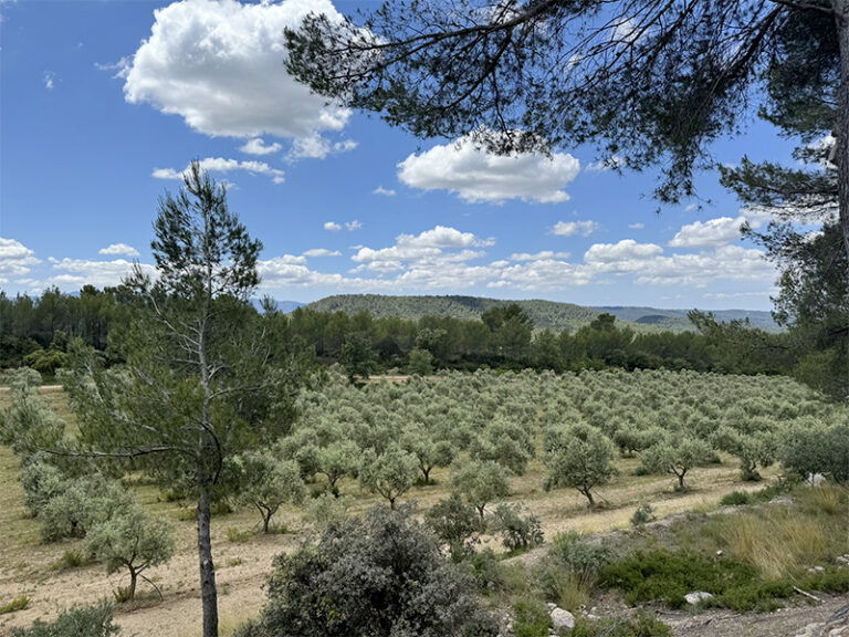 Le Tholonet - Entre oliviers et canal de Doudon • Aix en Provence ...